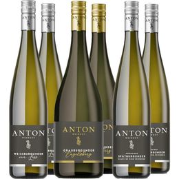 Weingut Anton Osterpaket mit Profikoch-Rezepten - Pfalz &ndash; Probierpaket Qualit&auml;tswein
