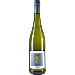 Wein/Sektgut Pirmin Wilhelm Riesling 2025 Trocken - Heiligenberg Pfalz &ndash; Wei&szlig;wein Sp&auml;tlese