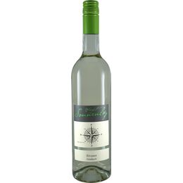 Weingut Sonnenlay Rivaner M&uuml;ller-Thurgau / 2023 Feinherb - Mosel &ndash; Wei&szlig;wein Qualit&auml;tswein