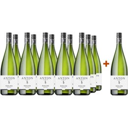 Weingut Anton 11+1 Paket 1,0L Riesling 2024 Trocken - Pfalz &ndash; Probierpaket Qualit&auml;tswein