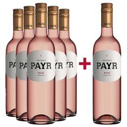 Bio Weingut Robert Payr 5+1 Paket Ros&eacute; &Ouml;TW Gutswein Zweigelt 2024 Trocken - Nieder&ouml;sterreich &ndash; Probierpaket Qualit&auml;tswein
