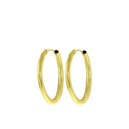 Lucardi Earrings 'Klassisch' female Gold size 20