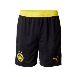 Puma Workout Pants 'Borussia Dortmund 25/26' male Black size S