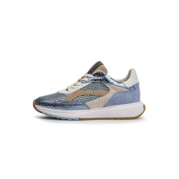 Floris van Bommel Sneakers 'Suvi 02' female Blue size 42