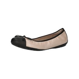 Caprice Ballerina Damen Gr&ouml;&szlig;e 36 beige / schwarz
