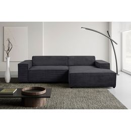 Ecksofa WERK2, B:268cm H:70cm T:163cmanthrazit, 90% Polyester, 10% Nylon, Wohnzimmer, Sofas, "Trento, elegant & zeitlos, Breite 268cm, pflegeleichte