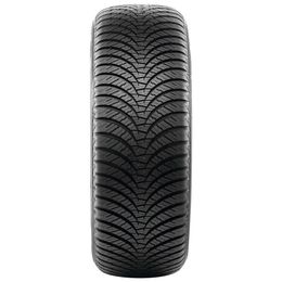 Ganzjahresreifen Falken Reifen "AS-210", schwarz, 205mm / 50 % R 17 93V, Autoreifen, in verschiedenen Ausf&uuml;hrungen erh&auml;ltlich