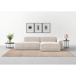 Ecksofa Trendmanufaktur "Braga, mit hochwertigem Kaltschaum, L-Form, in Cord erh&auml;ltlich", beige (sand), B:275cm H:72cm T:160cm, 88% Polyester, 12% Polyacryl, Sofas, Ecksofa, modernes Sofa, Couch mit hohem Sitzkomfort, 275/72/160 cm (B/H/T)