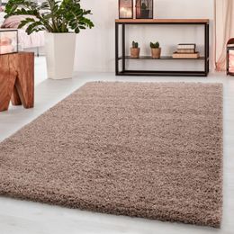Hochflor-Teppich Ayyildiz Teppiche "Dream Shaggy", beige, B:60cm H:50mm L:110cm, Kunstfaser, Teppiche, Langflor, auch in rund, L&auml;ufer, Wohnzimmer Schlafzimmer