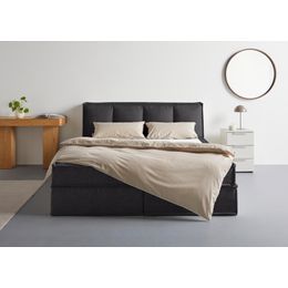 Boxspringbett "Addyson", braun (mud), B:170cm L:230cm, 100% Polyester, LeGer Home by Lena Gercke, Komplettbetten, Boxspringbett, Boxspringbett inkl. Topper, 2 Matratzen