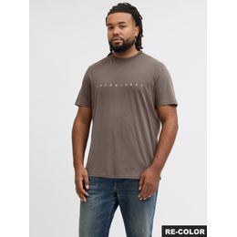 Jack & Jones PlusSize Rundhalsshirt "JJESTAR JJ TEE SS NOOS PLS", Damen, Gr. 4XL, falcon, Single Jersey, Obermaterial: 100% Baumwolle, JACK & JONES PLUSSIZE, bedruckt, regular fit normal, Rundhals, gerader Abschluss, Shirts Rundhalsshirt, Baumwolle, regular fit