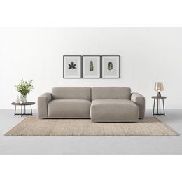 Ecksofa Trendmanufaktur "Braga, mit hochwertigem Kaltschaum, L-Form, in Cord erh&auml;ltlich", grau (taupe grau), B:255cm H:72cm T:160cm, 100% Polyester, Sofas, Ecksofa, modernes Sofa, Couch mit hohem Sitzkomfort, 255/72/160 cm (B/H/T)