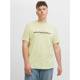 Jack & Jones PlusSize Print-Shirt "JORCANGGU TEE SS CREW NECK FST PLS", Herren, Gr. 4XL, gr&uuml;n (celadon tint), Jersey, Obermaterial: 100% Baumwolle, JACK & JONES PLUSSIZE, bedruckt, loose fit taillenbedeckt, Rundhals, gerader Abschluss, Shirts Print-Shirt, mit Logo Print