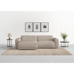 Ecksofa Trendmanufaktur "Braga, mit hochwertigem Kaltschaum, L-Form, in Cord erh&auml;ltlich", grau (taupe), B:255cm H:72cm T:160cm, 92% Polyester, 8% Nylon, Sofas, Ecksofa, modernes Sofa, Couch mit hohem Sitzkomfort, 255/72/160 cm (B/H/T)