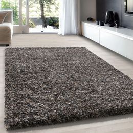 Hochflor-Teppich Ayyildiz Teppiche "Enjoy Shaggy", grau (taupe), B:280cm H:50mm L:370cm, Kunstfaser, Teppiche, Hochflor-Teppich, auch als L&auml;ufer, Shaggy, Langflor, meliert, Wohnzimmer
