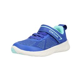 Geox Sneaker Jungen Gr&ouml;&szlig;e 26 aqua / royalblau