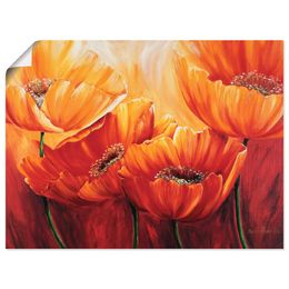 Artland Wandbild &raquo;Vier Mohnblumen&laquo; Blumen 1 Stk. tlg. als Leinwandbild, Poster in verschied. Gr&ouml;&szlig;en orange