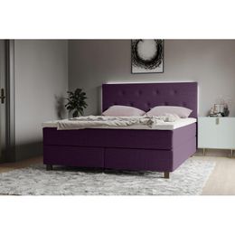 Home Affaire Boxspringbett &raquo;Alenika&laquo; mit LED - Beleuchtung, mit Taschen-Federkernmatratze lila 100% Polyester