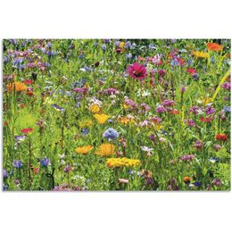 Artland Wandbild &raquo;Bunte Blumenwiese&laquo; Blumenwiese 1 Stk. tlg. f&uuml;r Innen- und Au&szlig;enbereich geeignet, Outdoorbild bunt