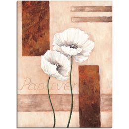 Artland Leinwandbild &raquo;Papaver - Mohnblumen&laquo; Blumenbilder 1 Stk. tlg. auf Holzrahmen gespannt beige Leinwand