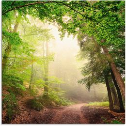 Artland Glasbild &raquo;Nat&uuml;rliche Torb&ouml;gen durch B&auml;ume&laquo; Wald 1 Stk. tlg. in verschiedenen Gr&ouml;&szlig;en gr&uuml;n