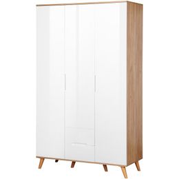 OTTO home Kleiderschrank &raquo;Lund Schlafzimmerschrank Bestseller im skandinavischem Design&laquo; Garderobenschrank mit Premium Innenausstattung, Breite 120cm 