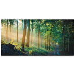 Artland Wandbild &raquo;Herbstmorgen im Wald&laquo; Waldbilder 1 Stk. tlg. f&uuml;r Innen- und Au&szlig;enbereich geeignet, Outdoorbild gr&uuml;n