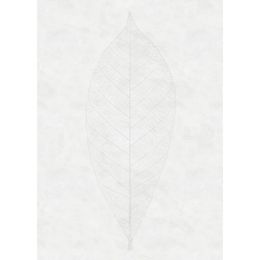 Komar Vliestapete &raquo;Digitaldruck Vlies - Decent Leaf - Gr&ouml;&szlig;e 200 x 280 cm&laquo; bedruckt glatt Wohnzimmer, Schlafzimmer grau Vlies