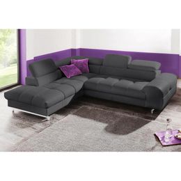 COTTA Ecksofa &raquo;Chef L-Form&laquo; mit Kopfteilverstellung, edle Metallkufen, wahlweise mit Bettfunktion schwarz Luxus-Microfaser (100% Polyester);Kunstleder