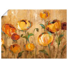 Artland Wandbild &raquo;Freudige Ranunkel&laquo; Blumen 1 Stk. tlg. als Leinwandbild, Poster in verschied. Gr&ouml;&szlig;en orange