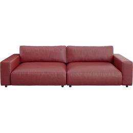 Musterring Big-Sofa &raquo;LUCIA&laquo; in vielen Qualit&auml;ten und 4 unterschiedlichen N&auml;hten, 2,5-Sitzer rot Flachgewebe FLORIS (100% Polyester);Flachgewebe VALMONT (60% 