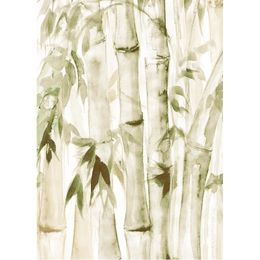 Komar Bild &raquo;Wild Bamboo&laquo; Natur 1 Stk. tlg. Wandbild zur Dekoration - ohne Rahmen gr&uuml;n Holz, Papier