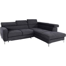 COTTA Ecksofa &raquo;Sammy L-Form&laquo; mit Kopfteilverstellung, wahlweise mit Bettfunktion & Bettkasten schwarz Struktur (100% Polyester );Chenille (90% 
