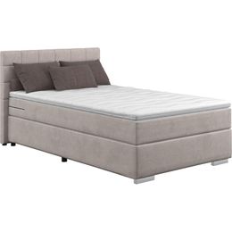 COTTA Boxspringbett &raquo;Simba&laquo; Topseller! wahlweise mit oder ohne Matratze und Topper bestellbar grau Polyester