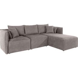 OTTO home Ecksofa &raquo;N&ouml;re L-Form&laquo; 3 Teile, in vielen Bezugsqualit&auml;ten und Farben. Modulteile s. "N&ouml;re" grau Samtoptik (100% Polyester);Struktur (100% 