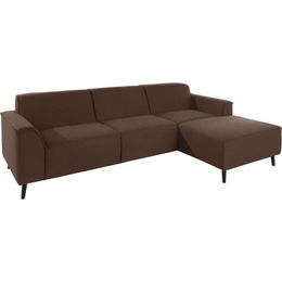 DOMO collection Ecksofa &raquo;Amora, inkl. Federkern, hoher Sitzkomfort, Breite 268 L-Form&laquo; mit Recamiere, zeitlos und elegant, Komfortsitzh&ouml;he 47cm braun 