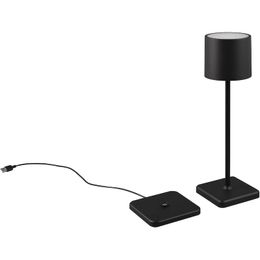 REALITY LEUCHTEN LED Au&szlig;en-Tischleuchte &raquo;Fernandez&laquo; LED-Board 1 Stk. Farbwechsler warmwei&szlig; - kaltwei&szlig; Garten Akku Tischlampe USB Ladestation dimmbar 