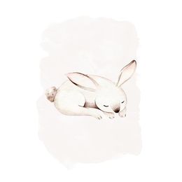 Komar Bild &raquo;Sleepy Bunny&laquo; Natur 1 Stk. tlg. Wandbild zur Dekoration - ohne Rahmen schwarz Holz, Papier