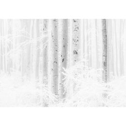 Komar Vliestapete &raquo;Digitaldruck Vlies - Winter Wood - Gr&ouml;&szlig;e 400 x 280 cm&laquo; bedruckt glatt Wohnzimmer, Schlafzimmer wei&szlig; Vlies
