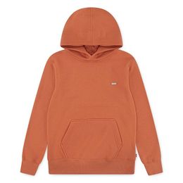 Levi's Kids Jungen Levi's Kids Hoodie &raquo;LVB MINI BATWING PULL OVER HOO&laquo;, for BOYS orange 5 (110)