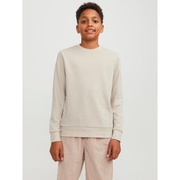 Jack & Jones Jack & Jones Junior Jungen Sweatshirt &raquo;JJEBRADLEY einfach kombinierbar, pflegeleicht&laquo;, Materialmix, regular fit wei&szlig; 176