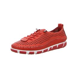 Gemini Schn&uuml;rschuhe in rot | Gr.: 41