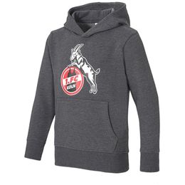 Fu&szlig;ballverein 1. FC K&ouml;ln Kinder Sweatshirt "Hoodie Basic Anthrazit" in Grau | Gr.: 128