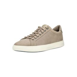 Geox Sneaker in Sand | Gr.: 41