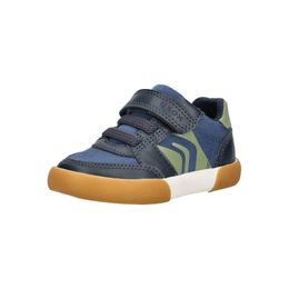 Geox Sneaker in Navy | Gr.: 22