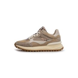 Floris van Bommel Sneaker 'NOPPI 41' Damen Gr&ouml;&szlig;e 37 beige / taupe