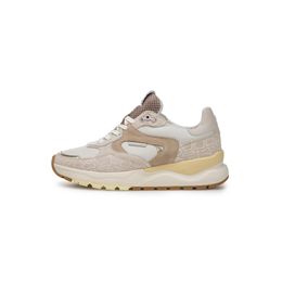 Floris van Bommel Sneaker 'Treni 02' Damen Gr&ouml;&szlig;e 38.5 nude / kitt / taupe / wei&szlig;