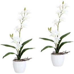 Kunstpflanze Creativ green "Orchidee Dendrobie", wei&szlig;, H:60cm, Kunststoff, Polyester, Kunstpflanzen, Kunstpflanze, im Keramiktopf