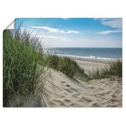 Wandbild Artland "D&uuml;nenlandschaft im Sommer an der Nordsee", gr&uuml;n (farbe bild(er): gr&uuml;n), B:80cm H:60cm, Bilder, als Leinwandbild, Poster in verschied. Gr&ouml;&szlig;en