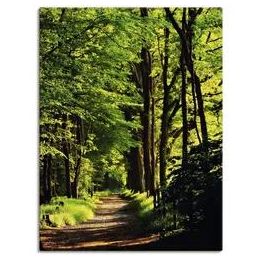 Wandbild Artland "Weg im Wald", gr&uuml;n (farbe bild(er): gr&uuml;n), B:90cm H:120cm, Bilder, als Leinwandbild, Poster in verschied. Gr&ouml;&szlig;en